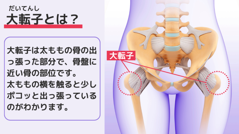大転子の出っ張りを引っ込める！太ももの外はりを改善するストレッチ | KEYSBIT